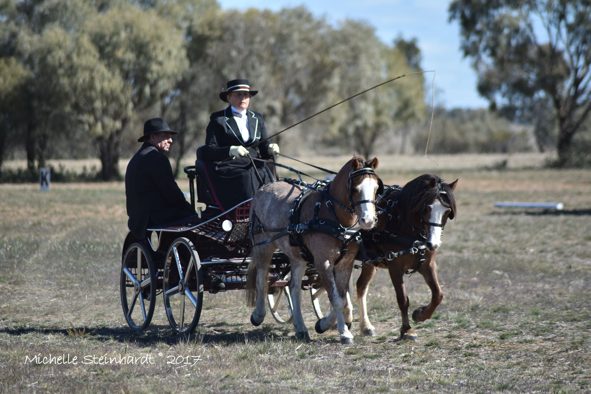 Events | Visit Leeton