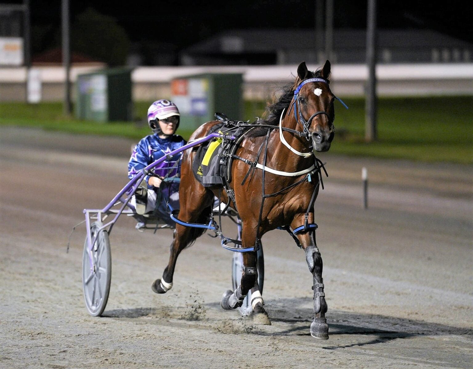 Events | Visit Leeton