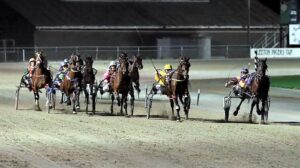Events | Visit Leeton